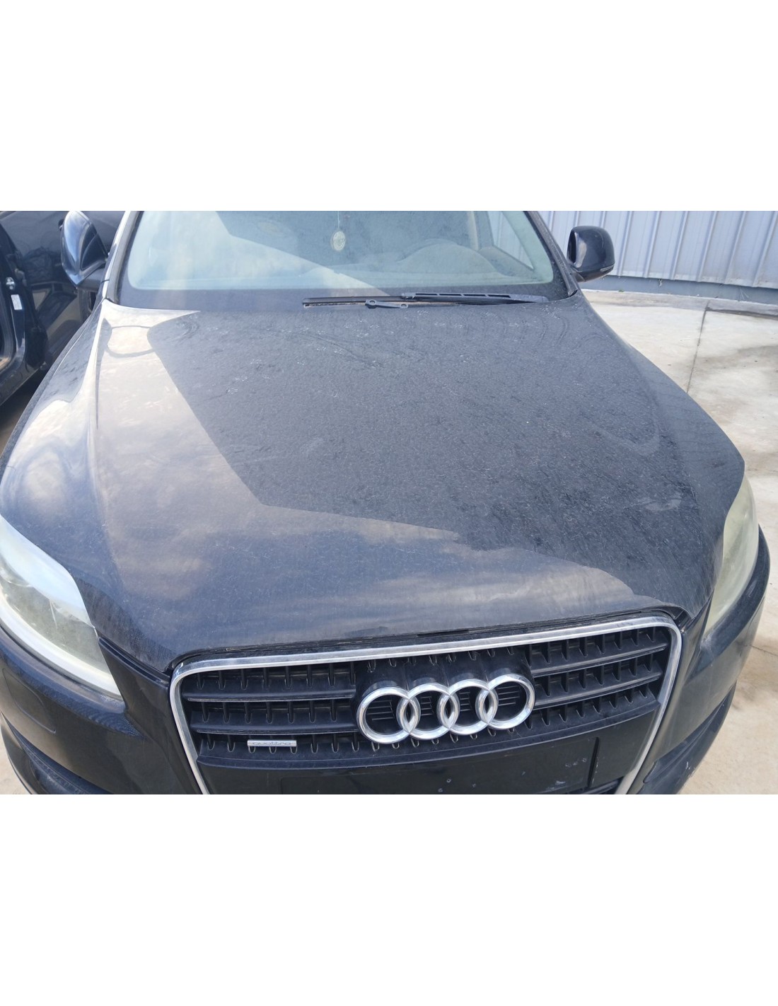 Recambio de capot para audi q7 (4l) 3.0 tdi referencia OEM IAM 4L0823029A